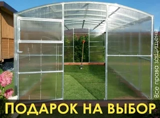 Теплицы из поликарбоната от "Дом Теплиц" с доставкой недорого в Нижний ...