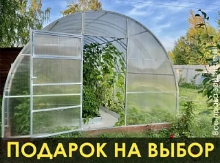 Теплицы из поликарбоната от "Дом Теплиц" с доставкой недорого в Нижний ...